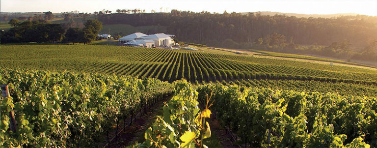 5 Amazing Tasmanian Wineries You Must Visit in 2023